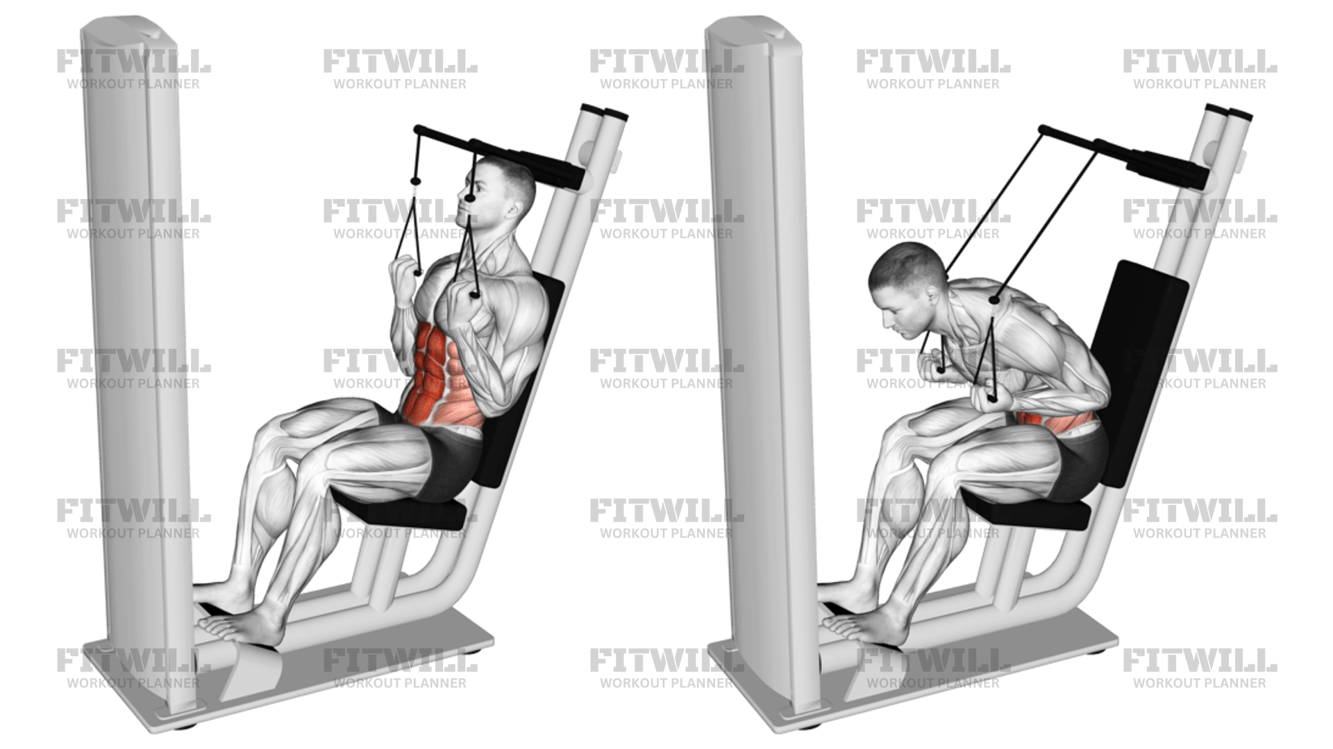 Lever Seated Crunch (VERSION 2): Exercise Guide, Techniques, Benefits ...