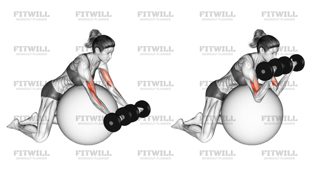 Dumbbell Preacher Curl Over Exercise Ball: Exercise Guide, Video ...
