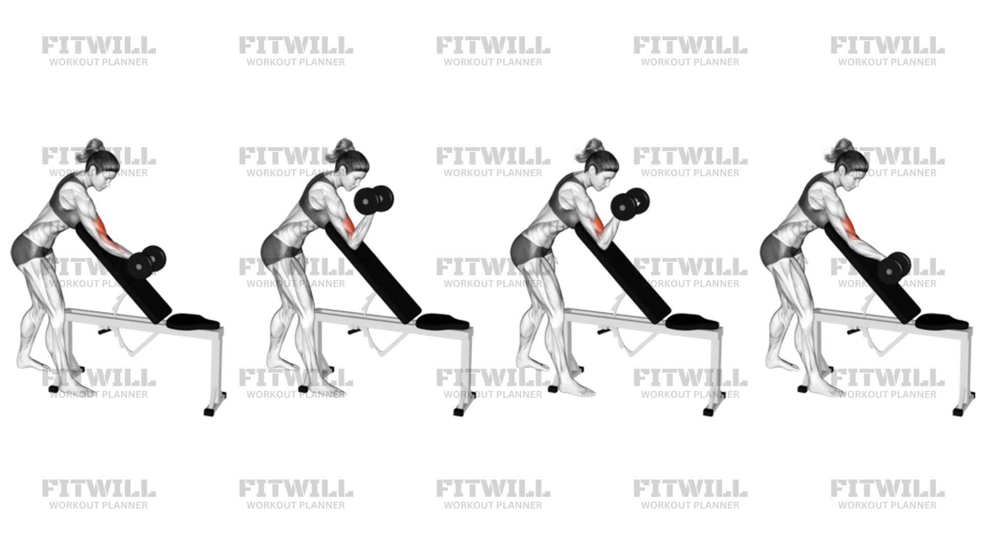 Dumbbell One Arm Zottman Preacher Curl: Exercise Guide, Video ... Dumbbell One Arm Zottman Preacher Curl: Exercise Guide, Video ...