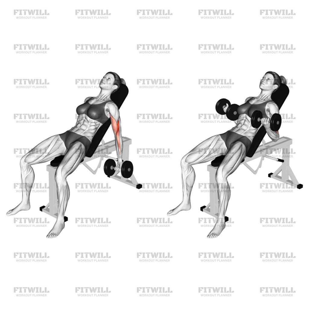 Dumbbell Incline Biceps Curl: Exercise Guide, Video, Techniques ...