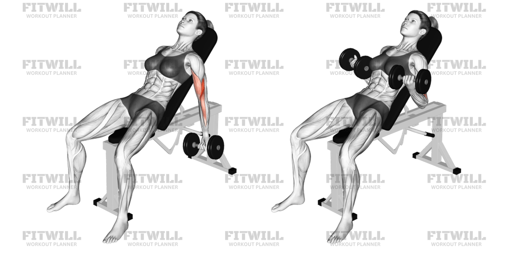 Curl De Bíceps Con Mancuernas En Banco Inclinado: Guía de Ejercicios ...