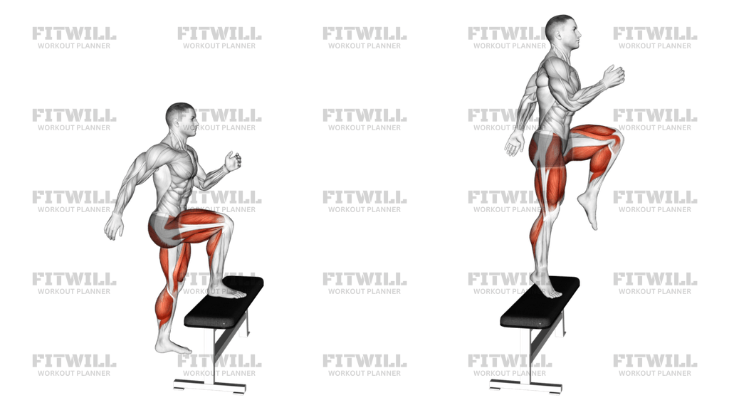 Jump Step-Up: Exercise Guide, Video, Techniques, Benefits, How to ...