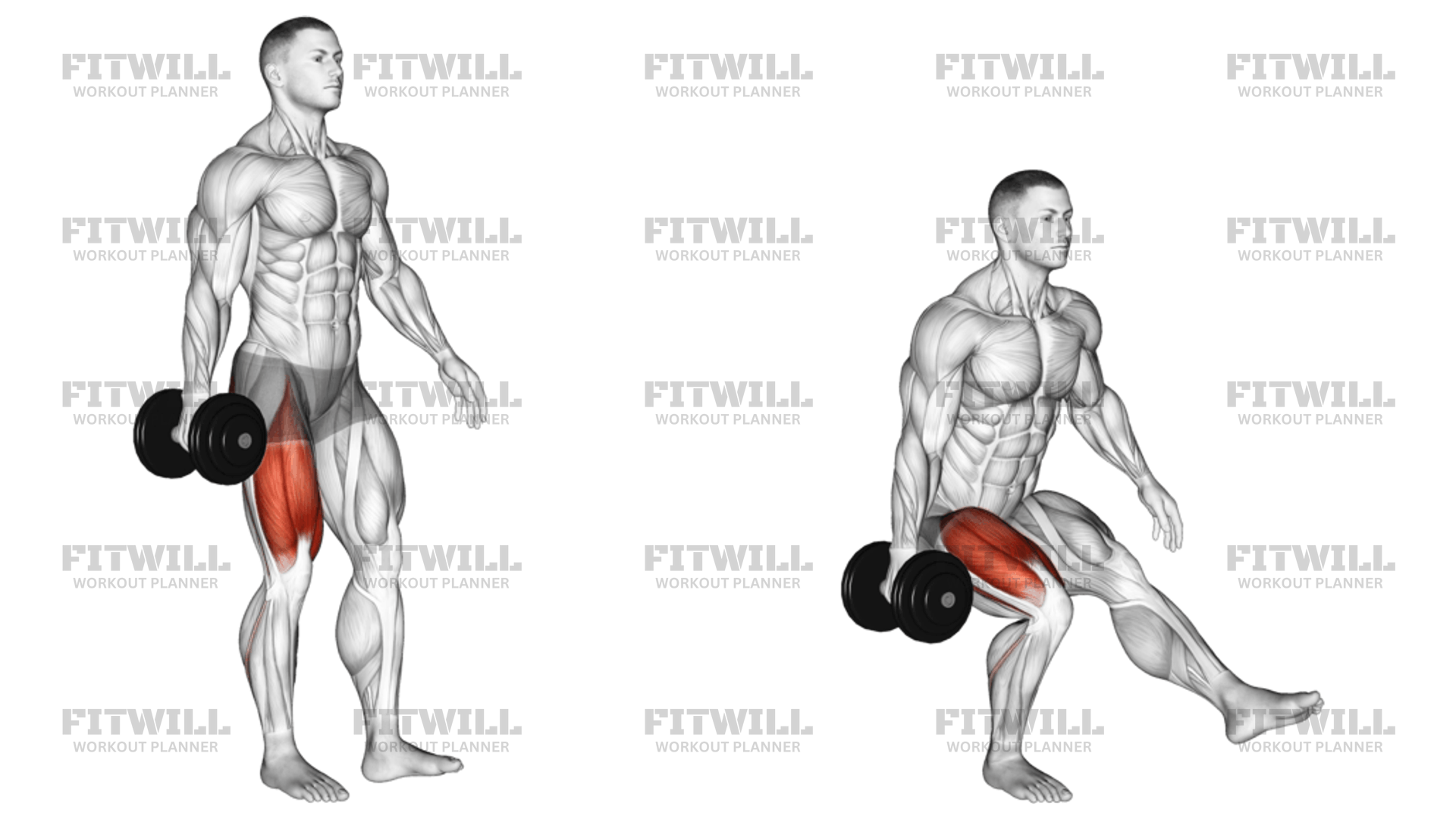Dumbbell Single Leg Squat Version 2: Exercise Guide, Techniques ...