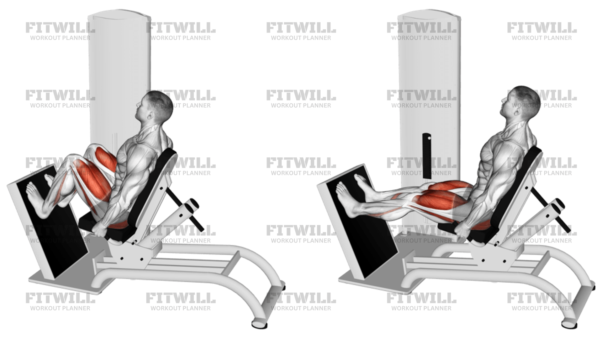 Lever Seated Horizontal Leg Press: Exercise Guide, Techniques, Benefits ...