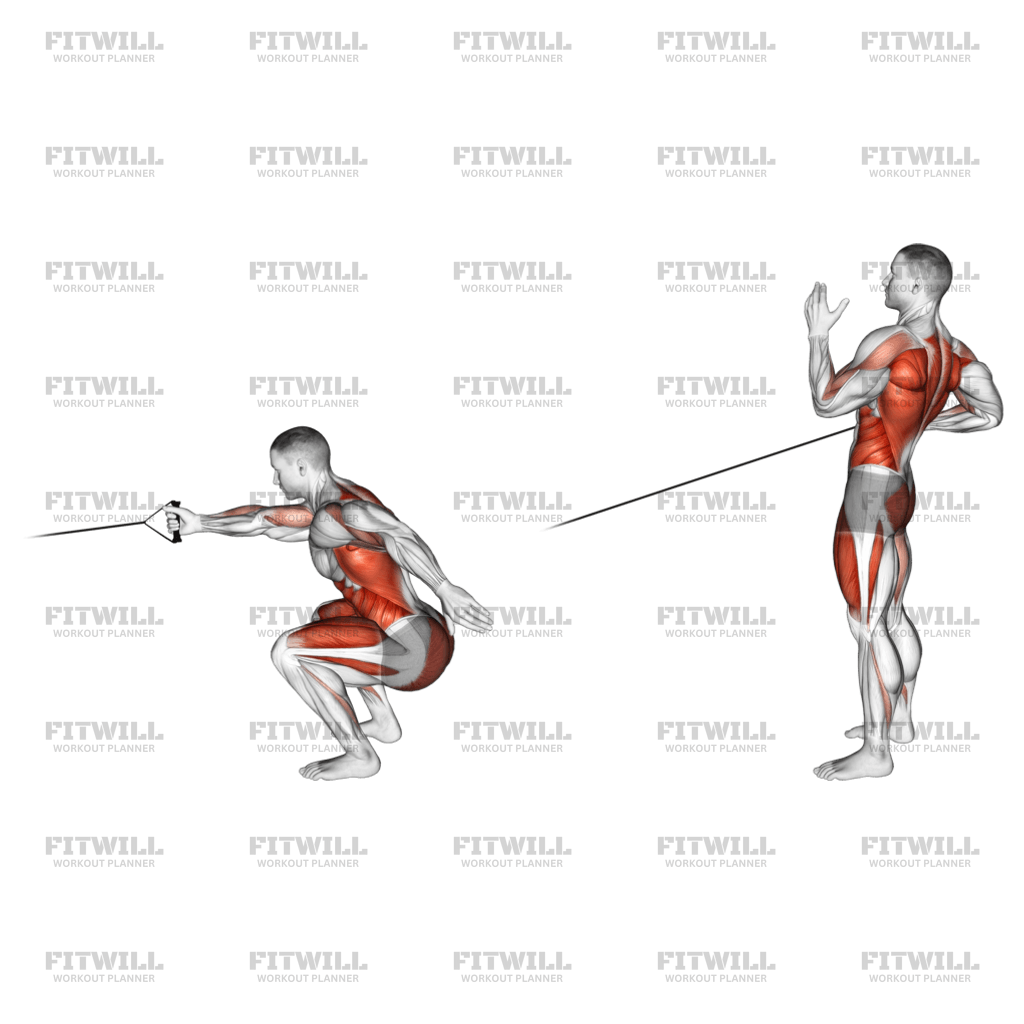 Band Squat With Single Arm Row: Exercise Guide, Techniques, Benefits ...