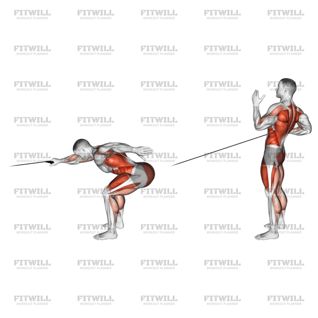 Band Deadlift With Single Arm Row: Exercise Guide, Techniques, Benefits ...
