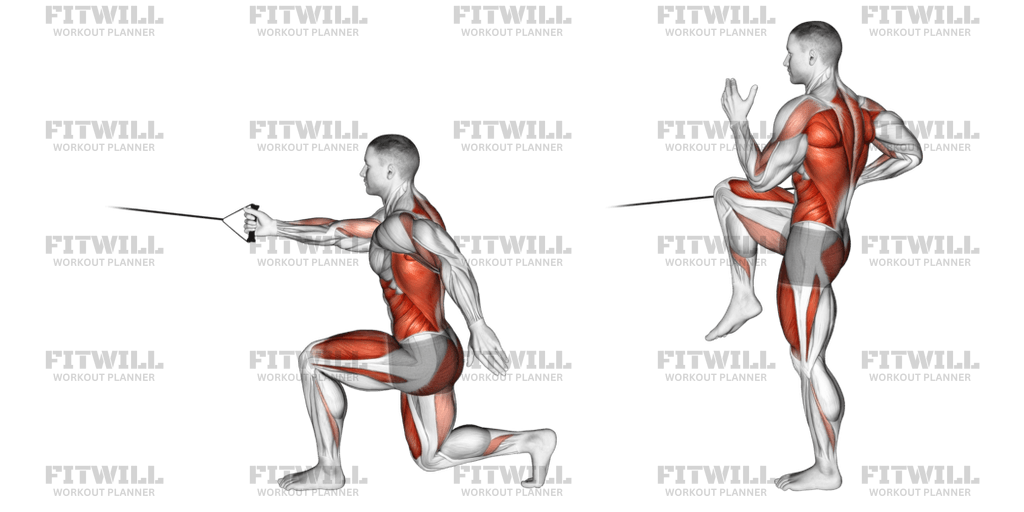 Band High Knee Lunge With Single Arm Row: Exercise Guide, Techniques ...