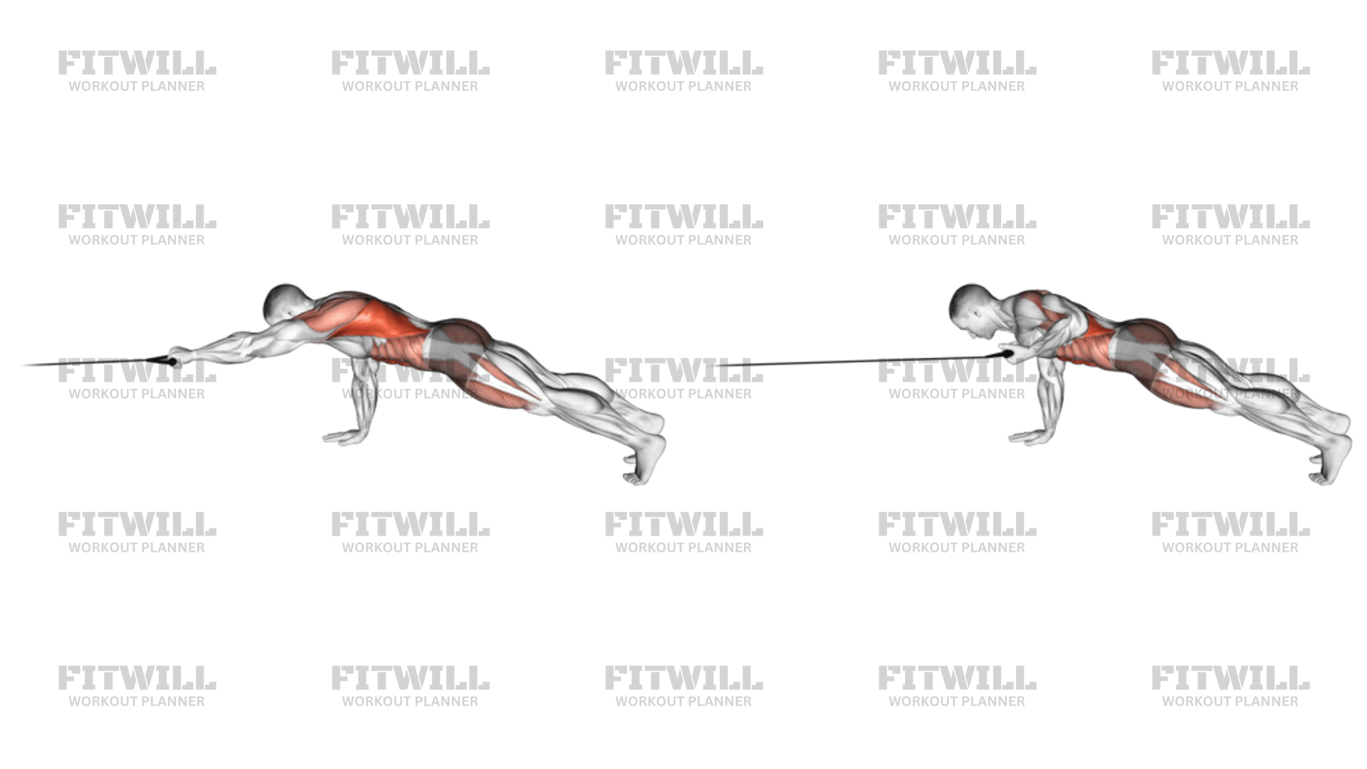 Band Front Plank With Single Arm Pulldown: Exercise Guide, Techniques ...