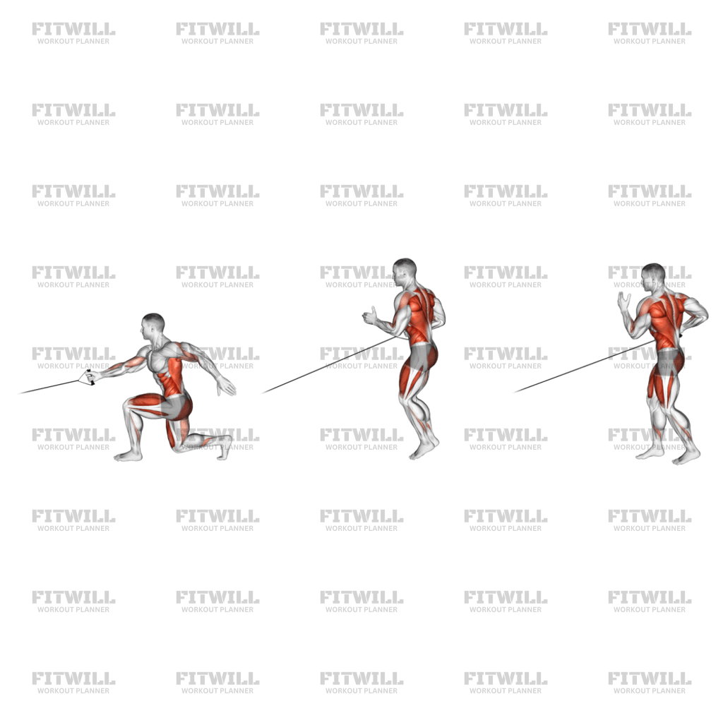 Band Jump Lunge With Single Arm Row: Exercise Guide, Techniques ...