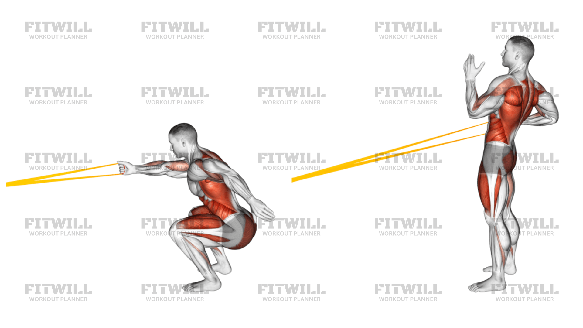 Resistance Band Squat With Single Arm Row: Exercise Guide, Techniques ...