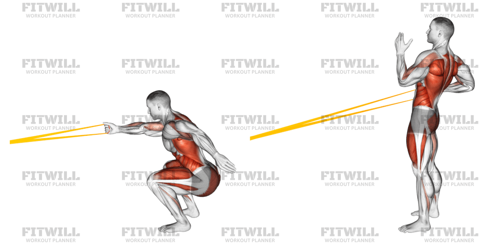 Sentadilla Con Banda De Resistencia Y Remo Con Brazo Único: Guía de ...