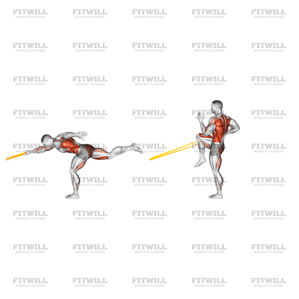 Resistance Band Single Stiff Leg Deadlift With Single Arm Row: Exercise ...