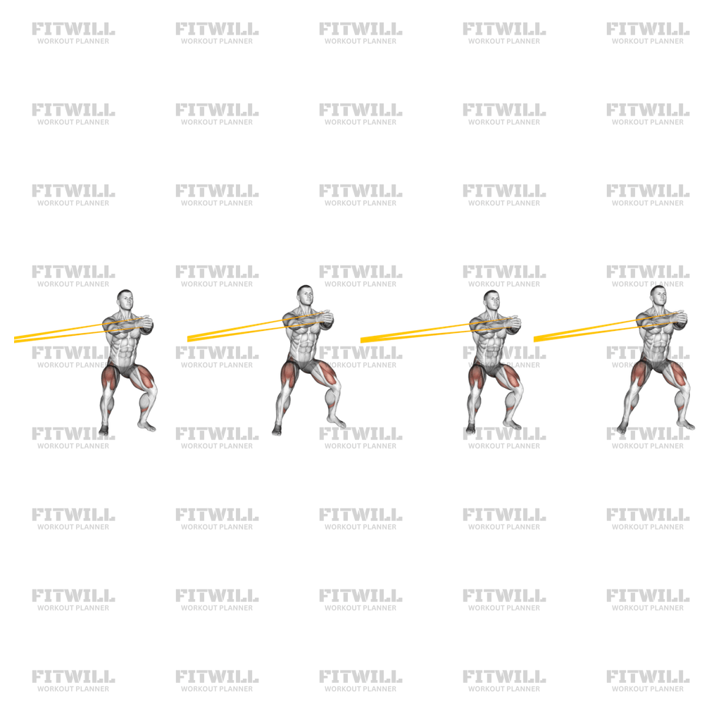 Resistance Band Side Step With Horizontal Pallof Hold: Exercise Guide ...
