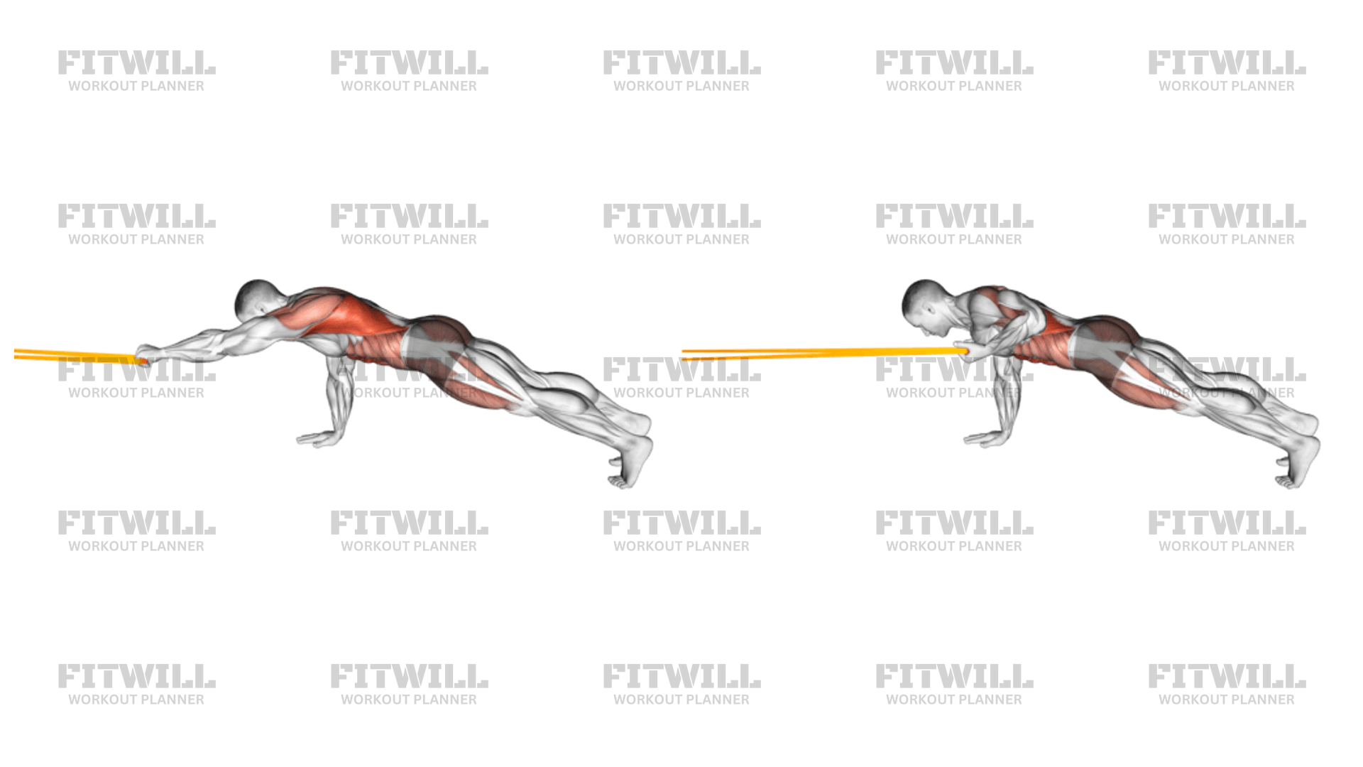 Resistance Band Front Plank With Single Arm Pulldown: Exercise Guide ...