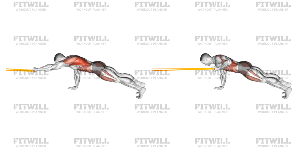 Resistance Band Front Plank With Single Arm Pulldown: Exercise Guide ...