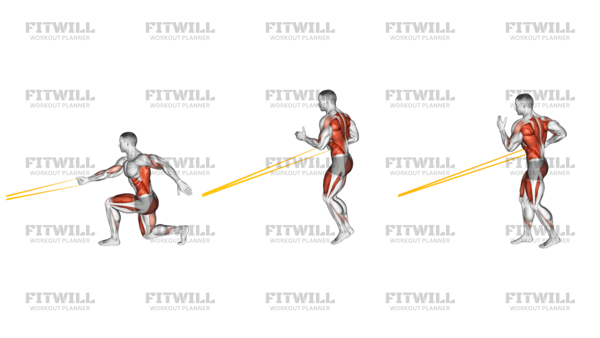 Resistance Band Jump Lunge With Single Arm Row: Exercise Guide ...