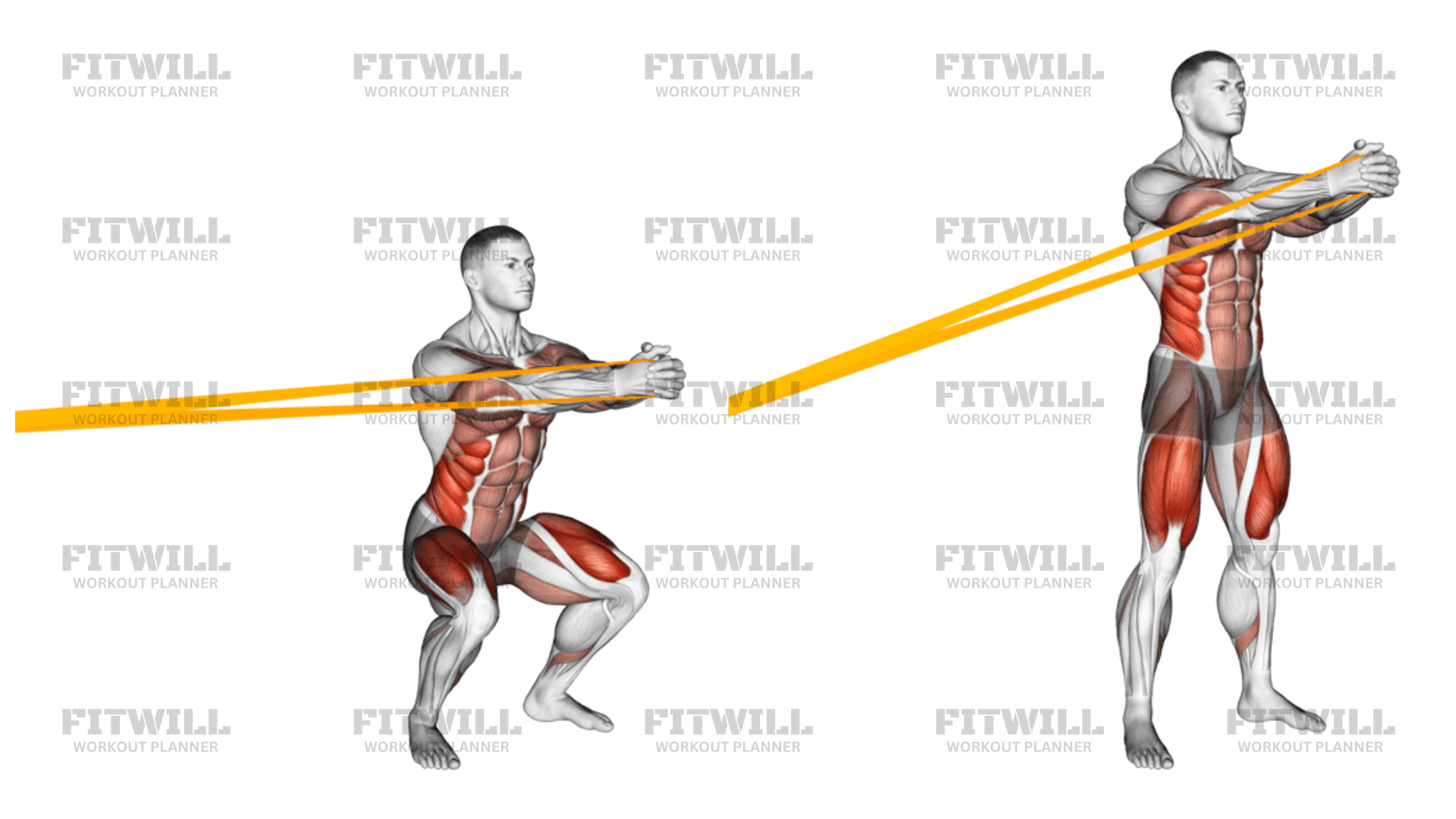 Resistance Band Squat With Horizontal Pallof Hold: Exercise Guide ...