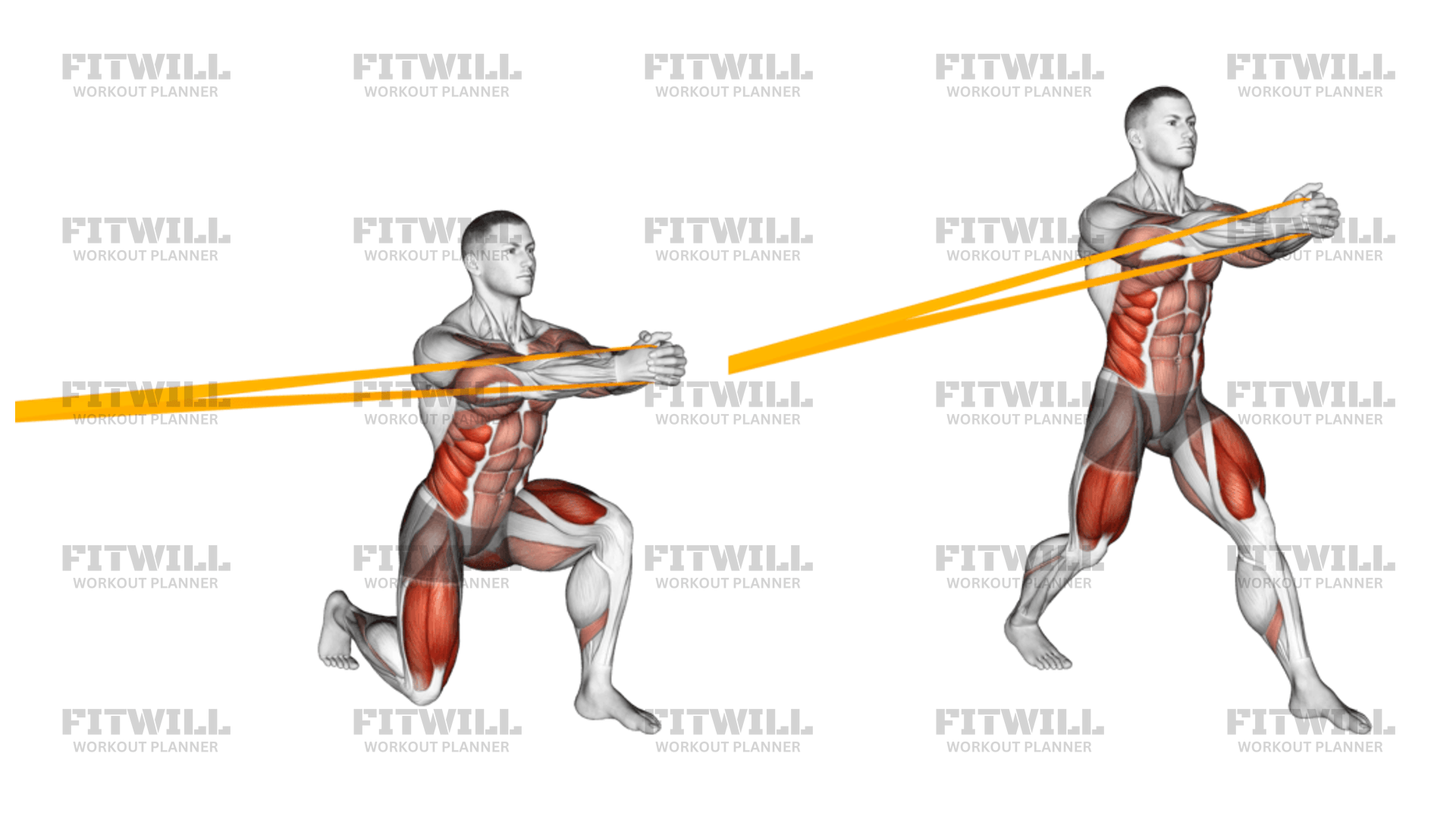 Resistance Band Split Squat With Horizontal Pallof Hold: Exercise Guide, Techniques, Benefits ...