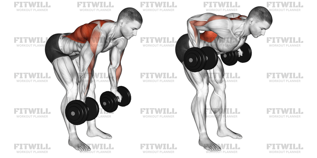 Sculpt Your Back with This Intense Dumbbell Row Workout | Workout ...