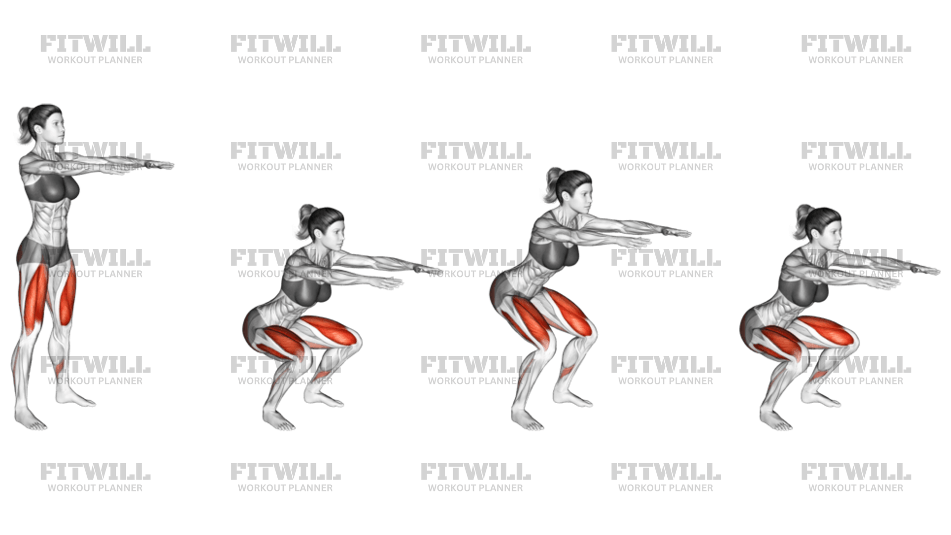 Squat Pulsé Au Poids Du Corps : Guide d'exercice, vidéo, techniques ...