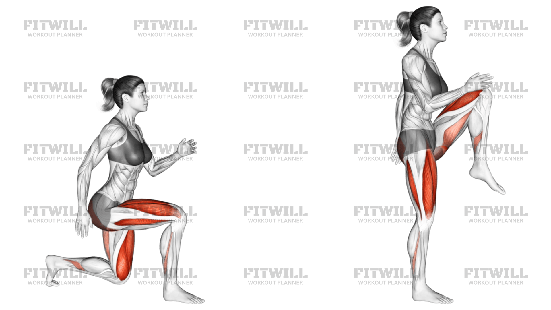 Lunge With Leg Lift: Exercise Guide, Video, Techniques, Benefits, How ...