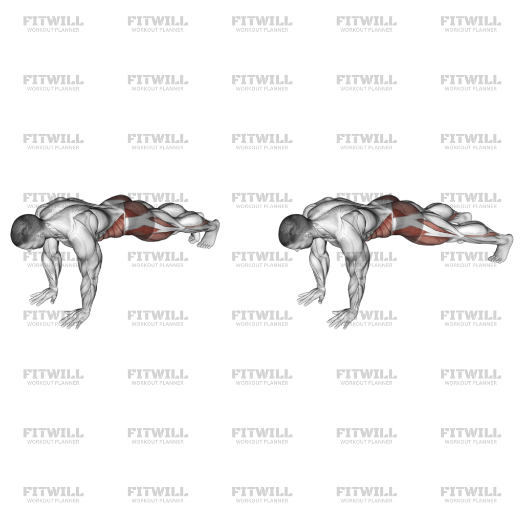 Front Plank Toe Tap: Exercise Guide, Video, Techniques, Benefits, How ...