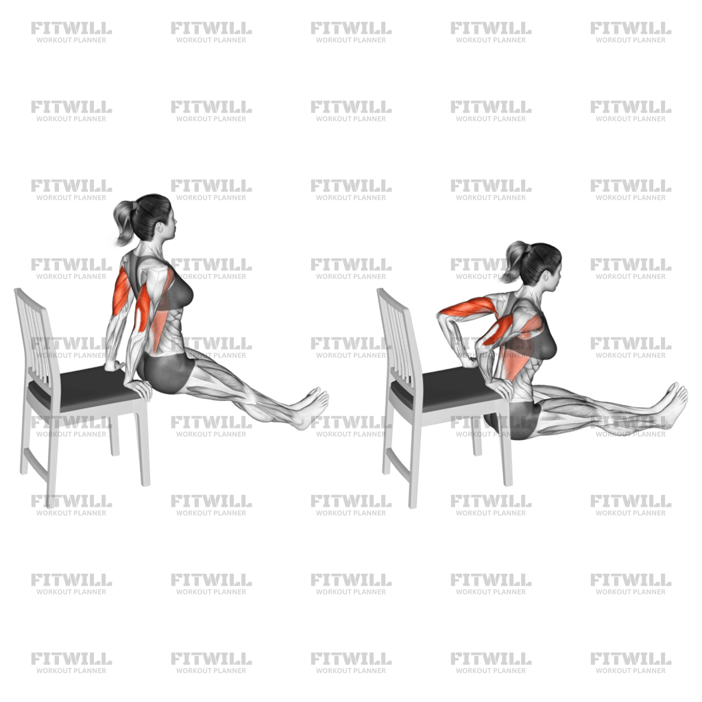 Dip On Floor With Chair: Exercise Guide, Video, Techniques, Benefits ...