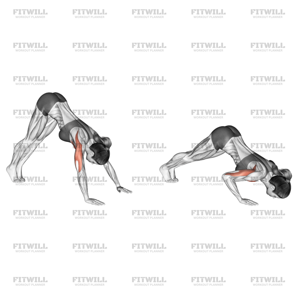 Pike Push up: Guide, Techniques, Benefits, How to, Muscles Worked, Tips ...