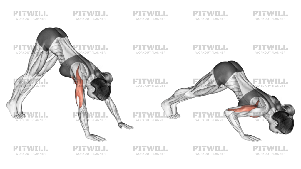 Pike Push up: Guide, Techniques, Benefits, How to, Muscles Worked, Tips ...