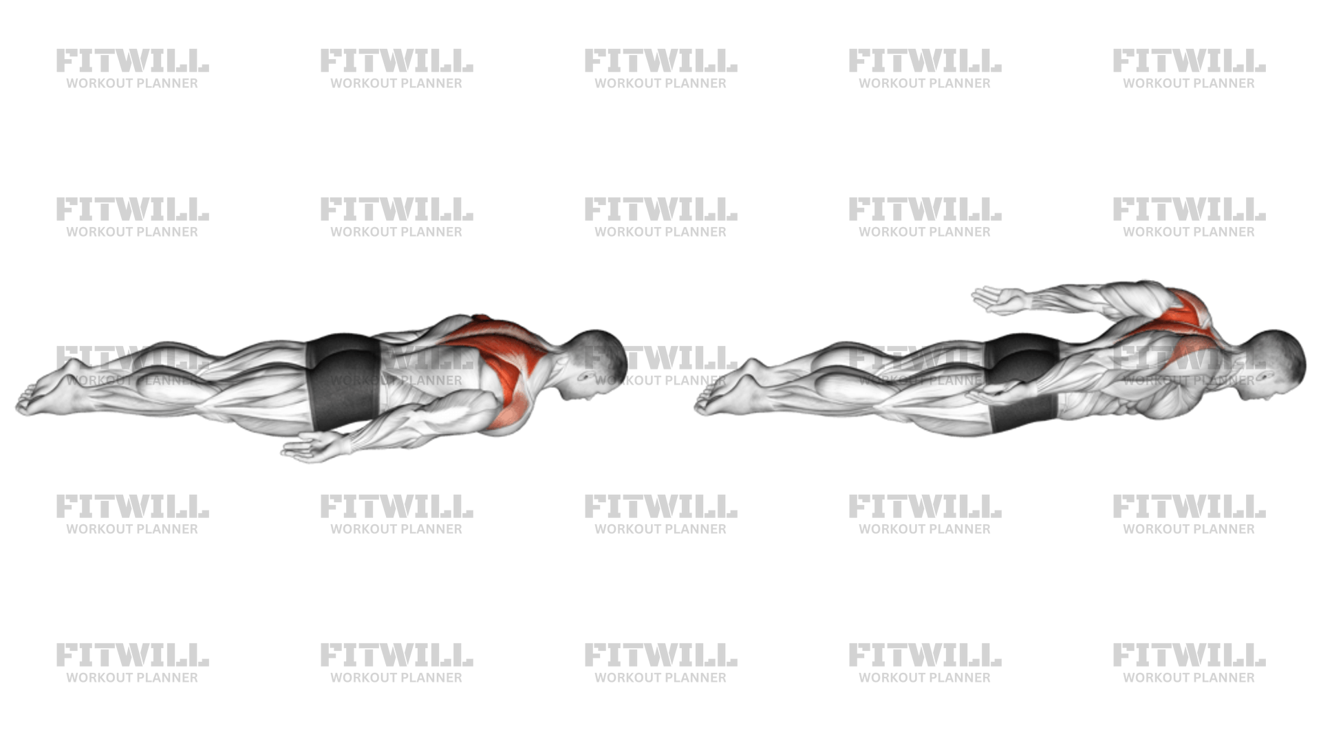 Bodyweight Lying Pulse Row: Exercise Guide, Video, Techniques, Benefits ...