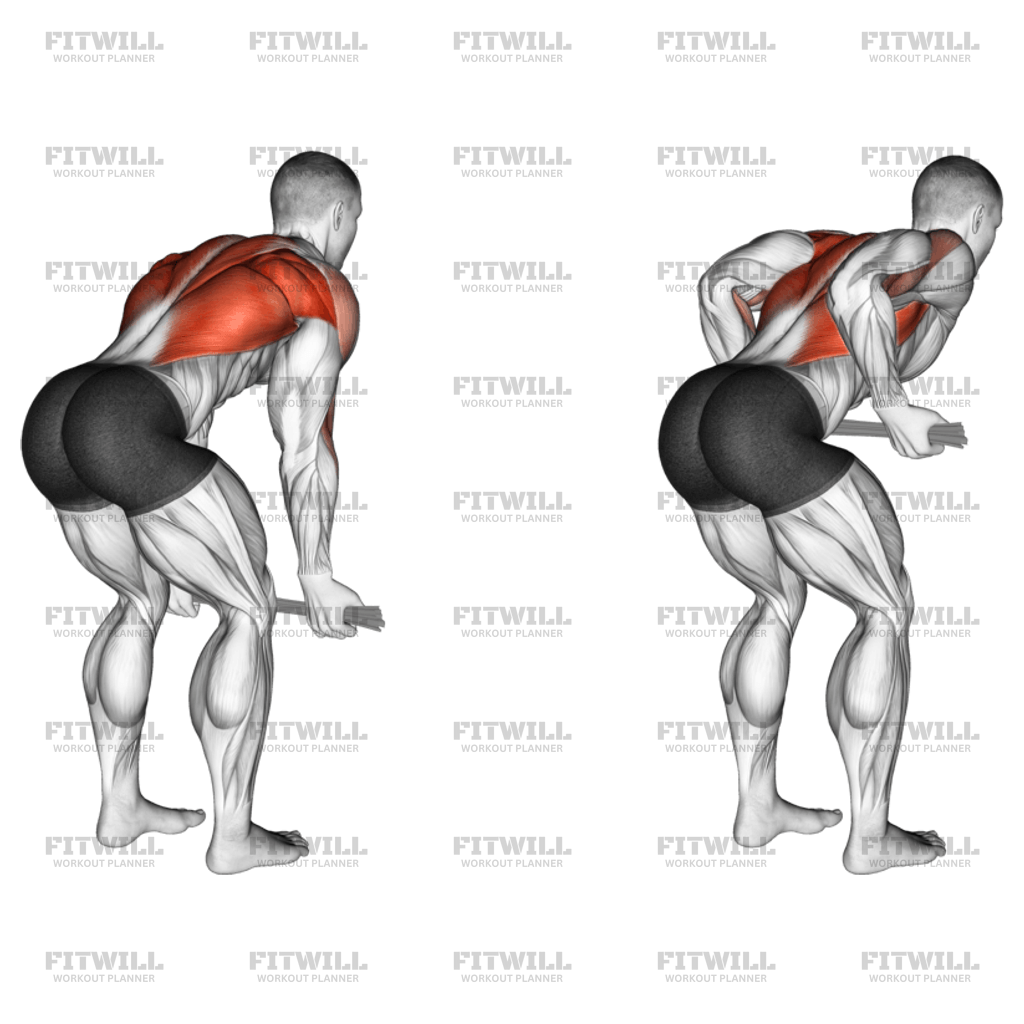 Bent-Over Row With Towel: Exercise Guide, Video, Techniques, Benefits ...