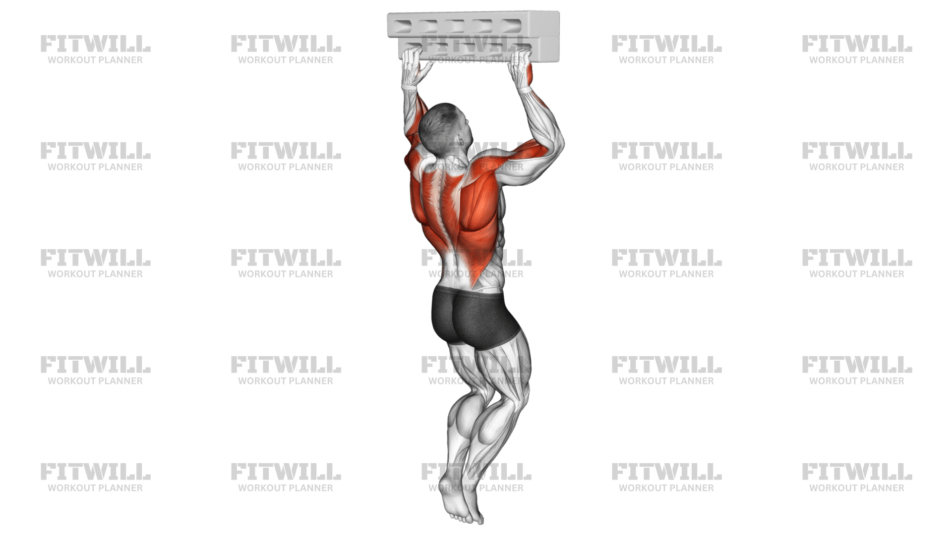 Handboard Hang With 90 Degree Elbow: Exercise Guide, Techniques ...