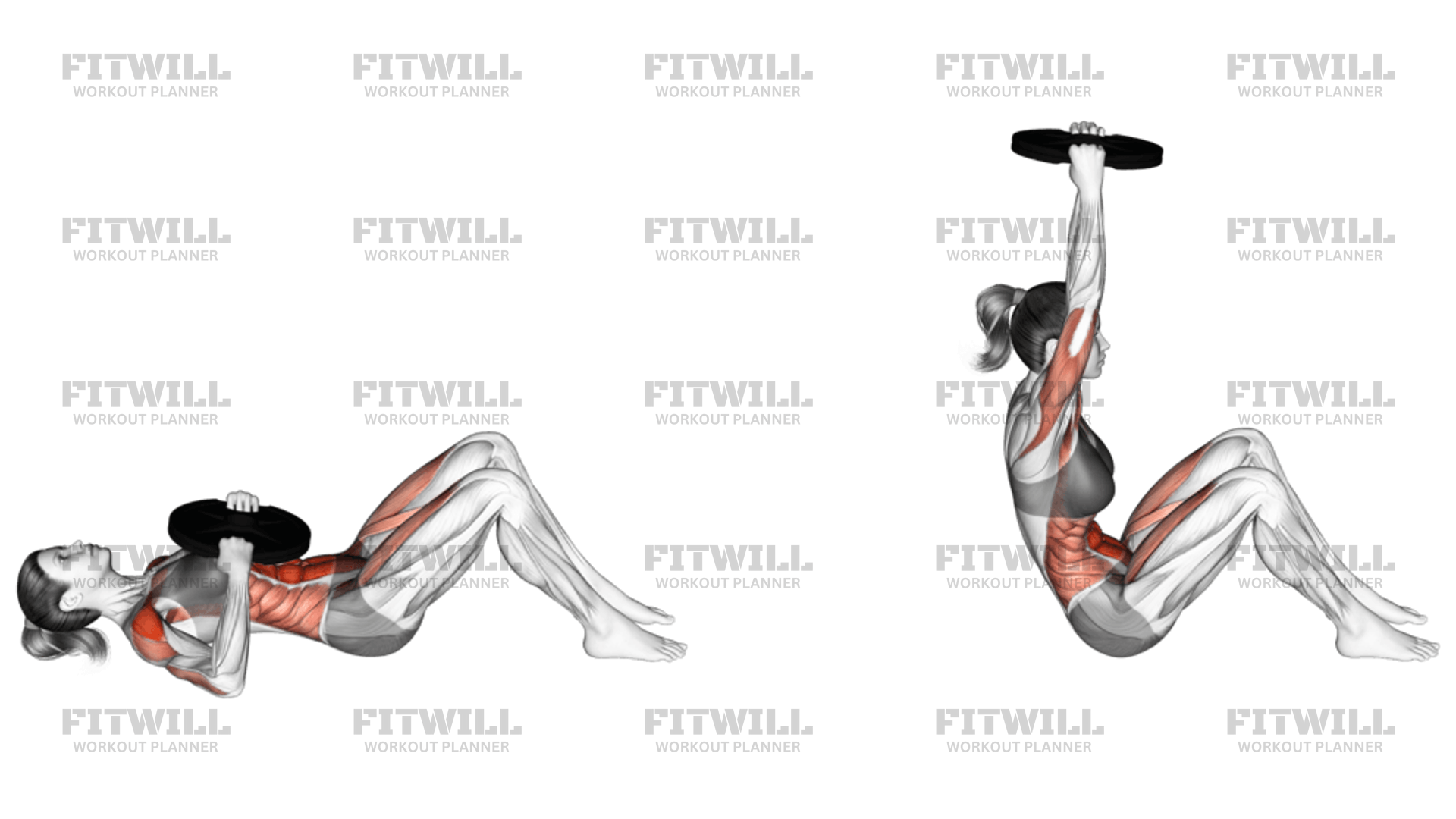 Otis-Up: Exercise Guide, Video, Techniques, Benefits, How to, Muscles ...
