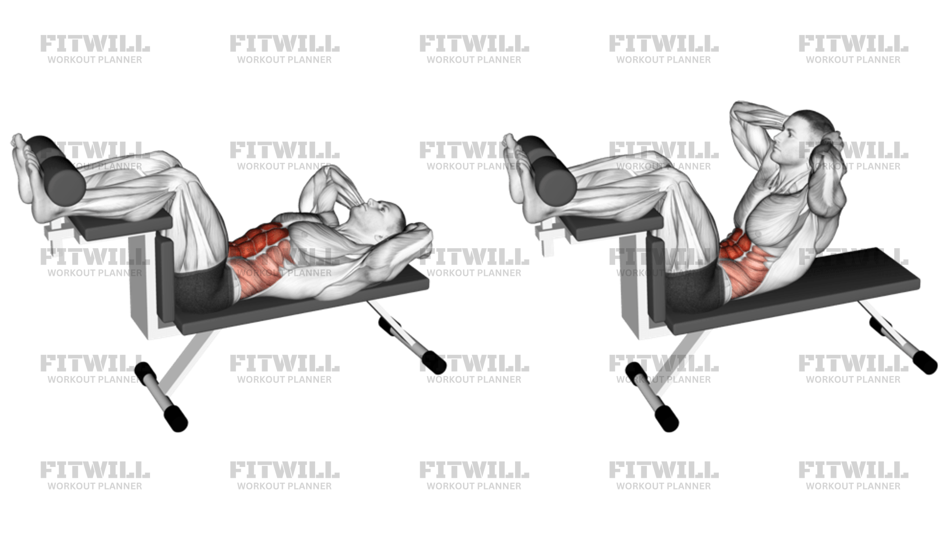Abdominal En Banco: Guía de Ejercicios, Video, Técnicas, Beneficios ...