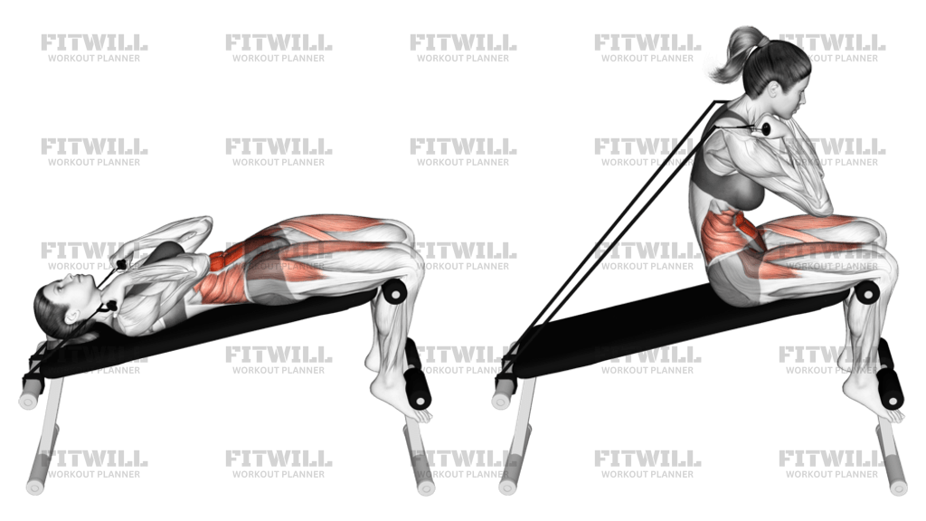 Band Decline Sit-Up: Exercise Guide, Video, Techniques, Benefits, How ...
