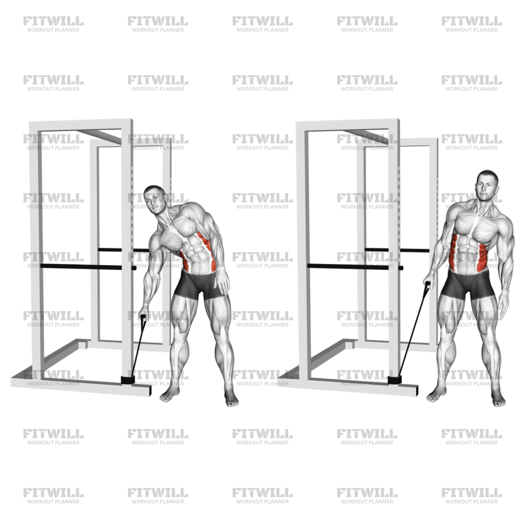 Band Side Bend: Exercise Guide, Video, Techniques, Benefits, How to ...