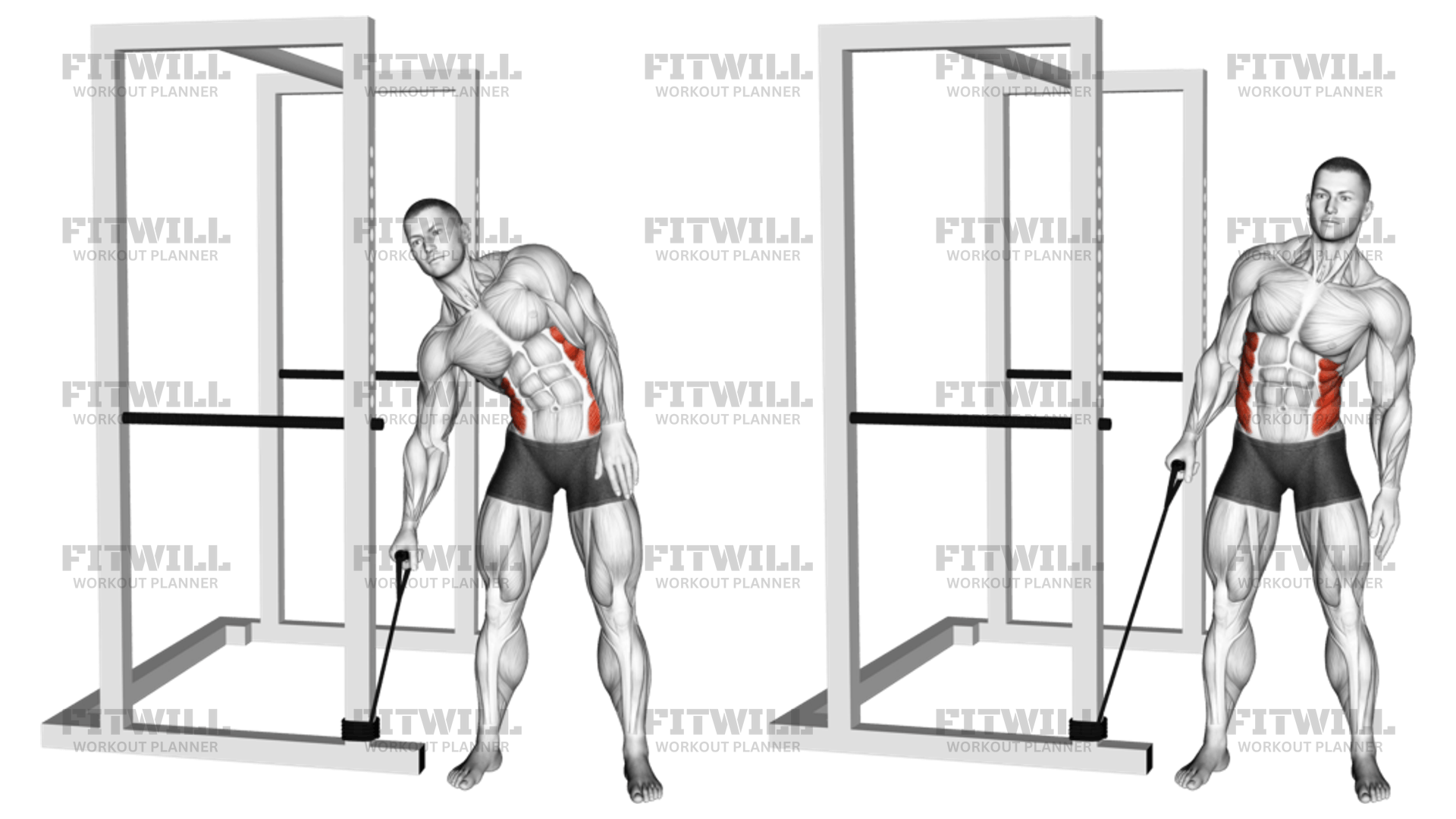 Band Side Bend: Exercise Guide, Video, Techniques, Benefits, How to ...