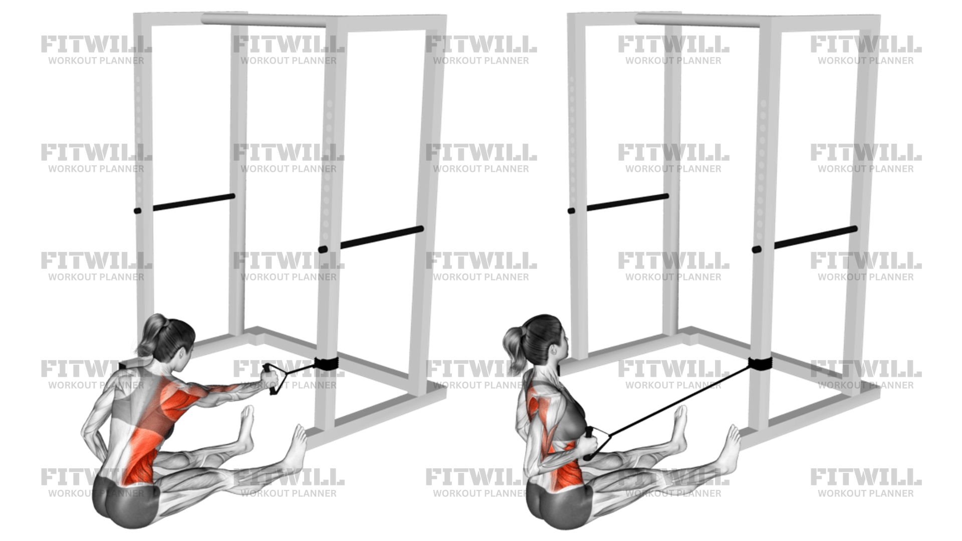 Band One Arm Twisting Seated Row: Exercise Video | Fitwill