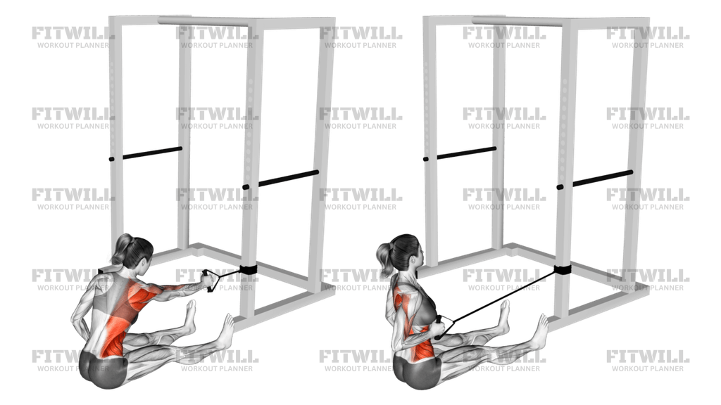 Band One Arm Twisting Seated Row: Exercise Video | Fitwill