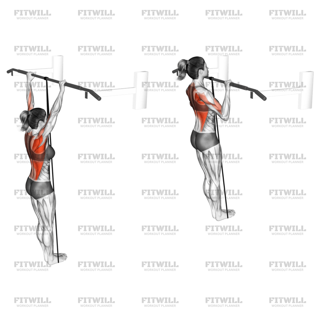 Band Assisted Pull Up (VERSION 3): Exercise Guide, Video, Techniques, Benefits, How to, Muscles ...
