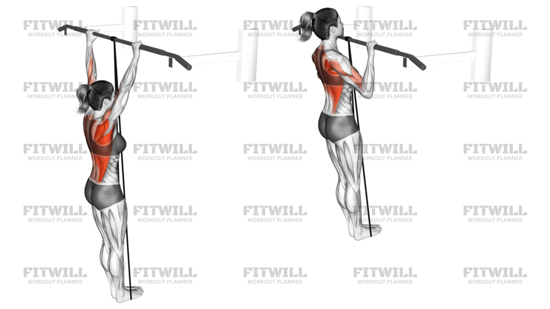 Band Assisted Pull Up (VERSION 3): Exercise Guide, Video, Techniques ...