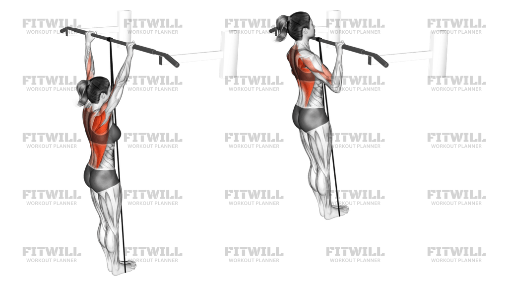 Band Assisted Pull Up (VERSION 3): Exercise Guide, Video, Techniques ...