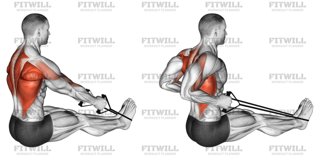 Remo Sentado Con Banda Y Espalda Recta: Video de Ejercicio | Fitwill