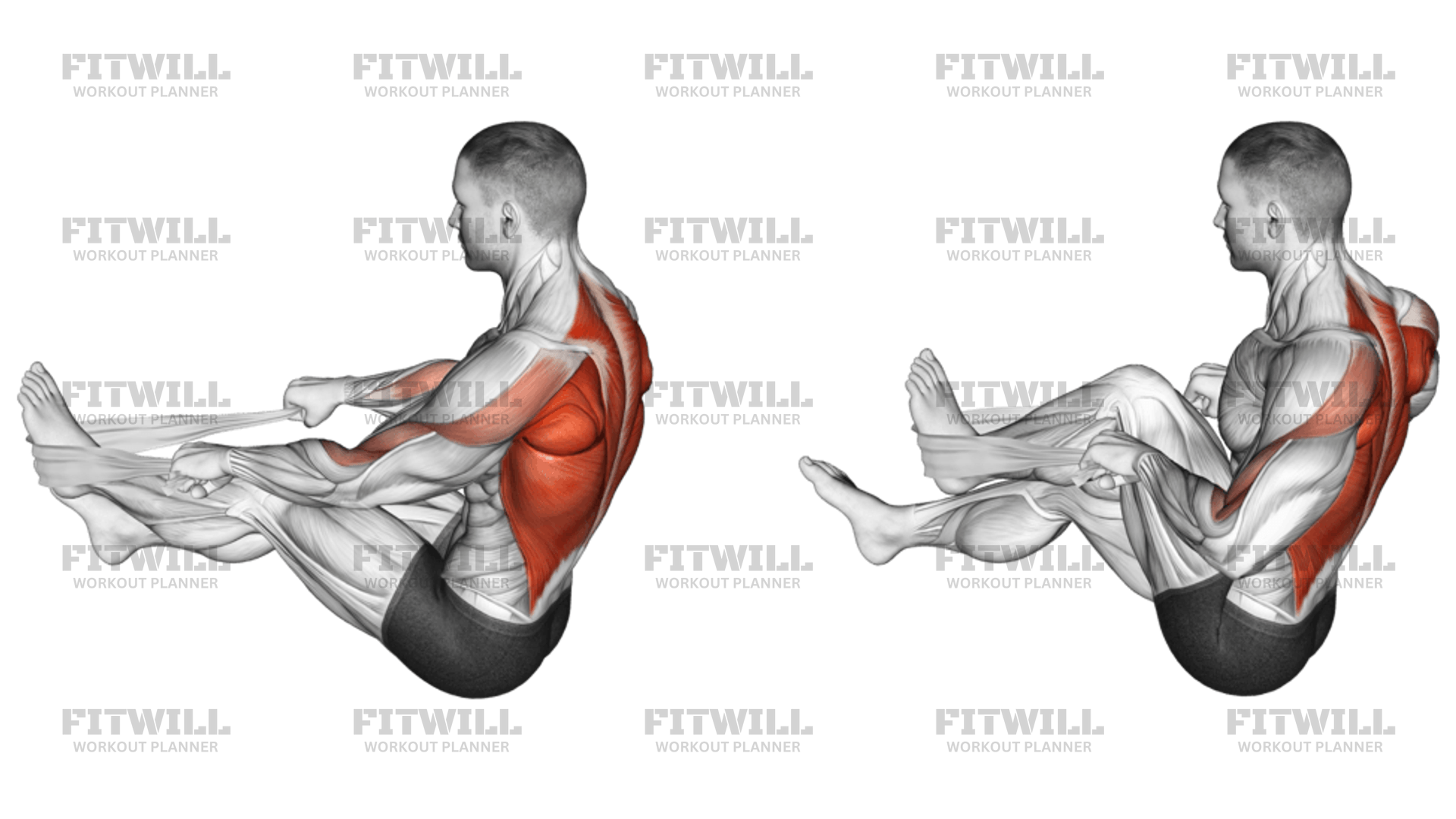 Seated Row With Towel: Exercise Guide, Video, Techniques, Benefits, How ...