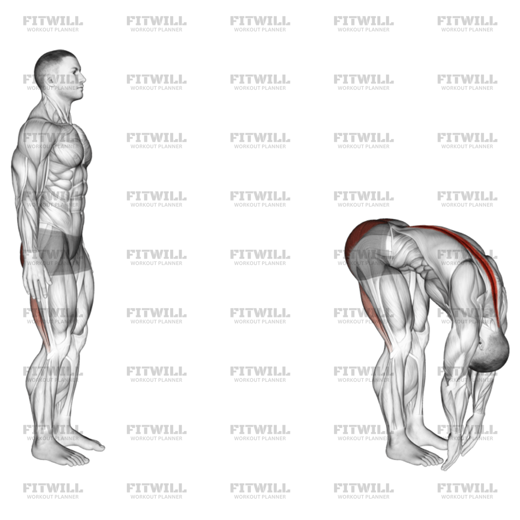 Standing Back Extension And Flexion: Exercise Guide, Techniques ...
