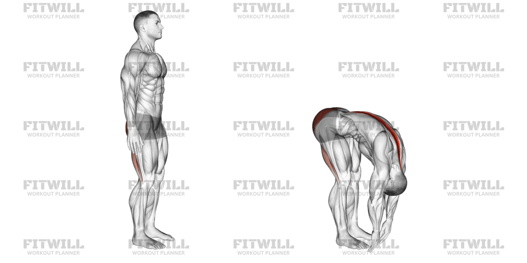 Standing Back Extension And Flexion: Exercise Guide, Techniques ...