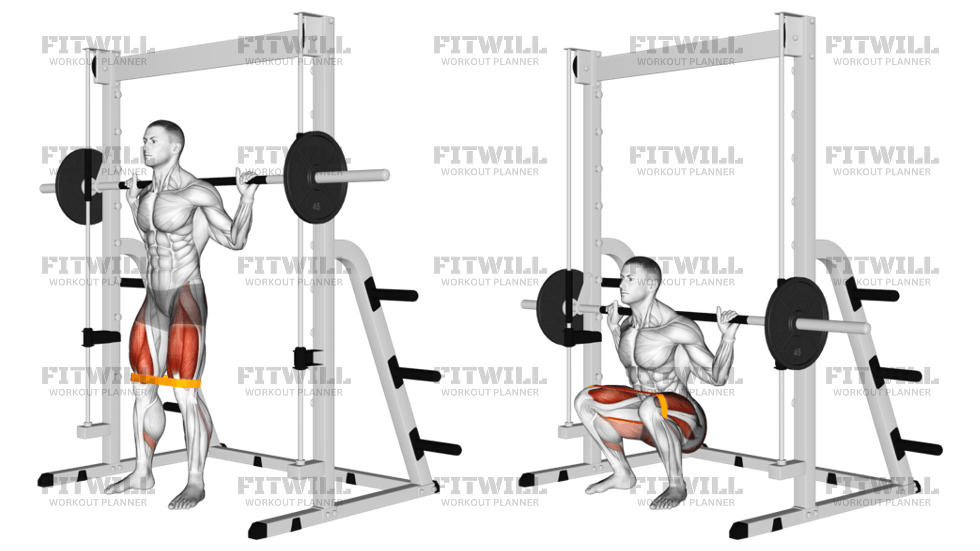 Resistance Band Smith Squat: Exercise Guide, Techniques, Benefits, How ...