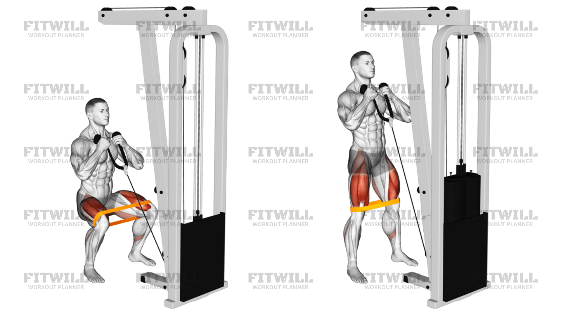 Resistance Band Cable Squat: Exercise Guide, Techniques, Benefits, How ...