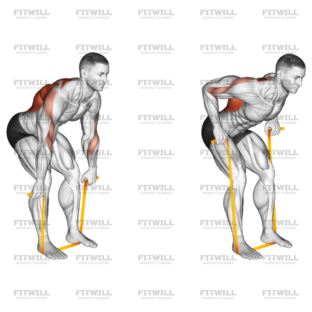 Resistance Band Bent Over Row: Exercise Guide, Techniques, Benefits ...