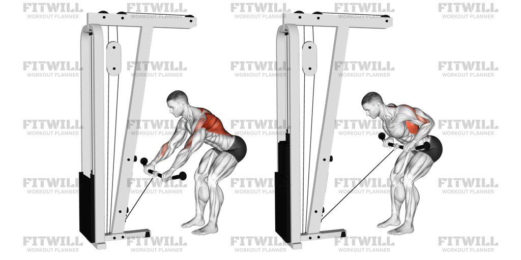 Cable Bent-Over Row: Exercise Guide, Video, Techniques, Benefits, How ...